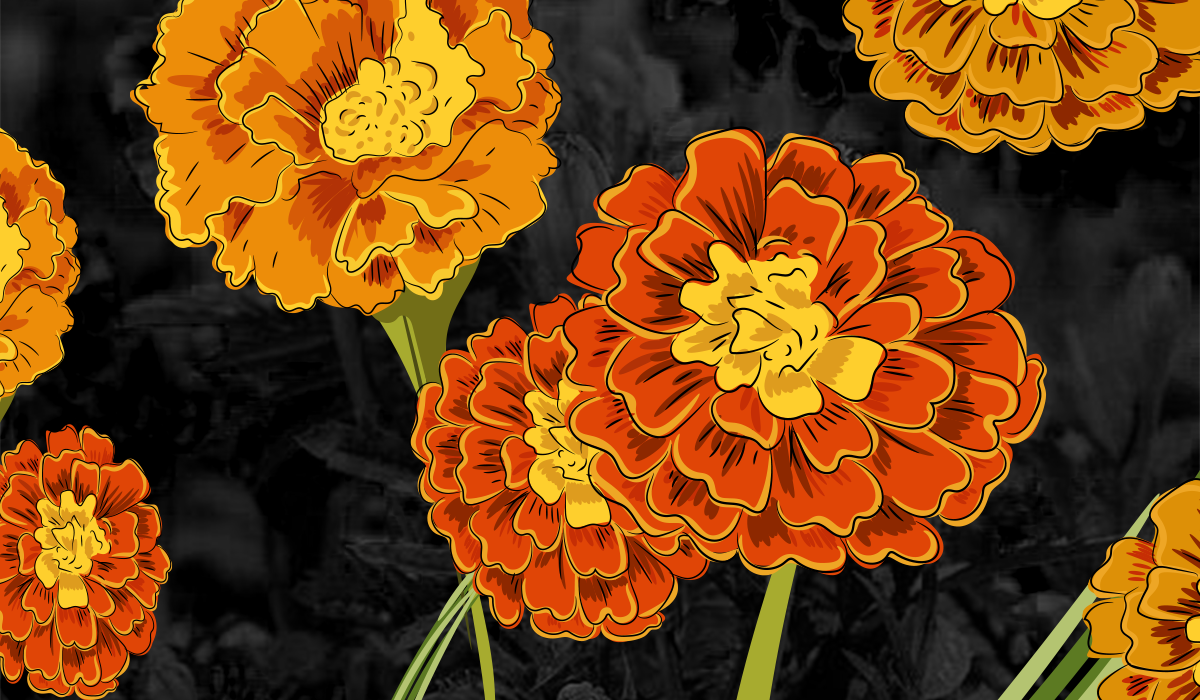 Cempasúchil: el camino de las almas | Saborearte