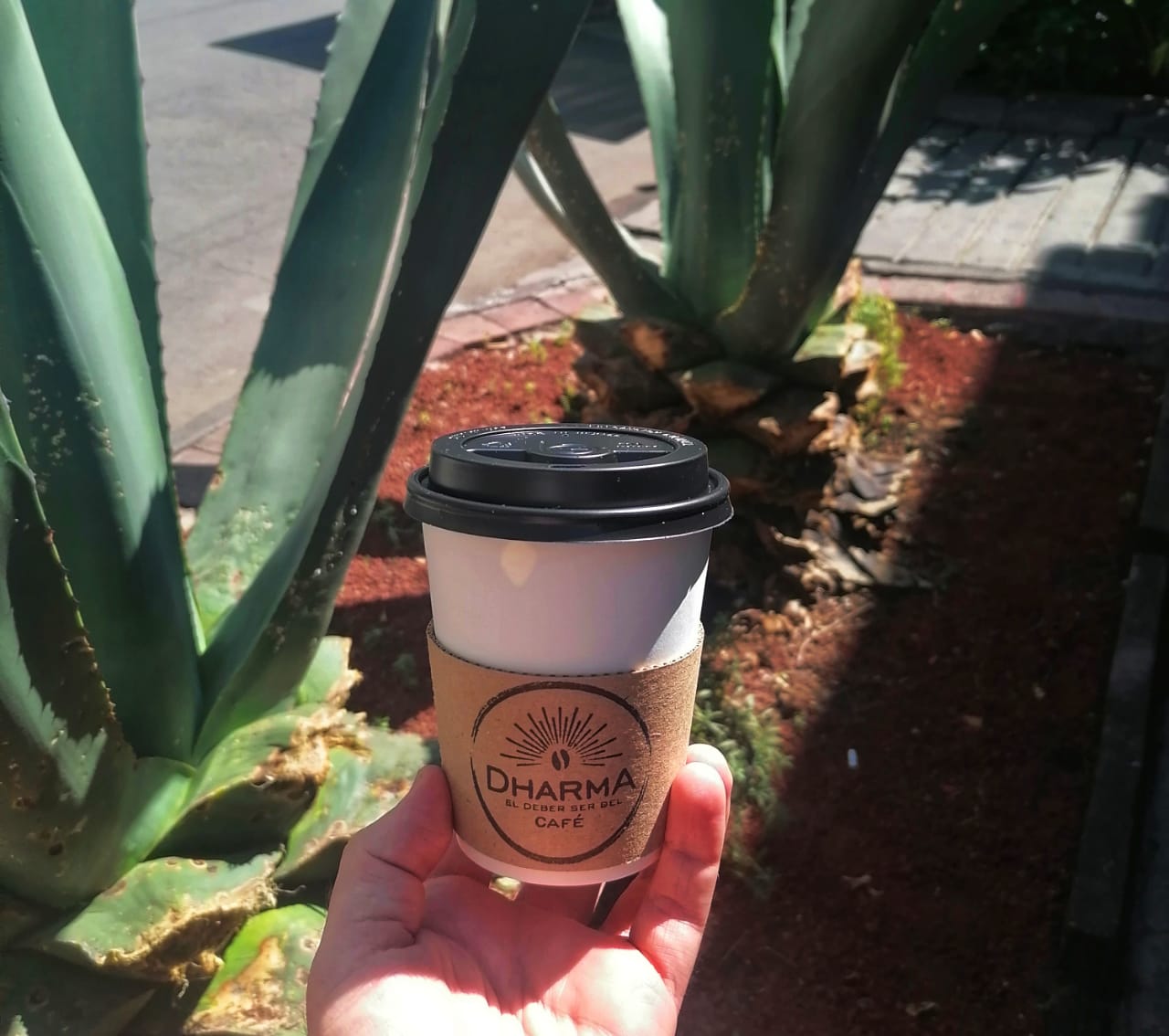 Café con causa | Saborearte