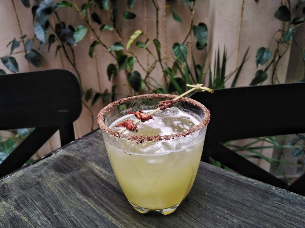 Mexa, una propuesta singular | Saborearte