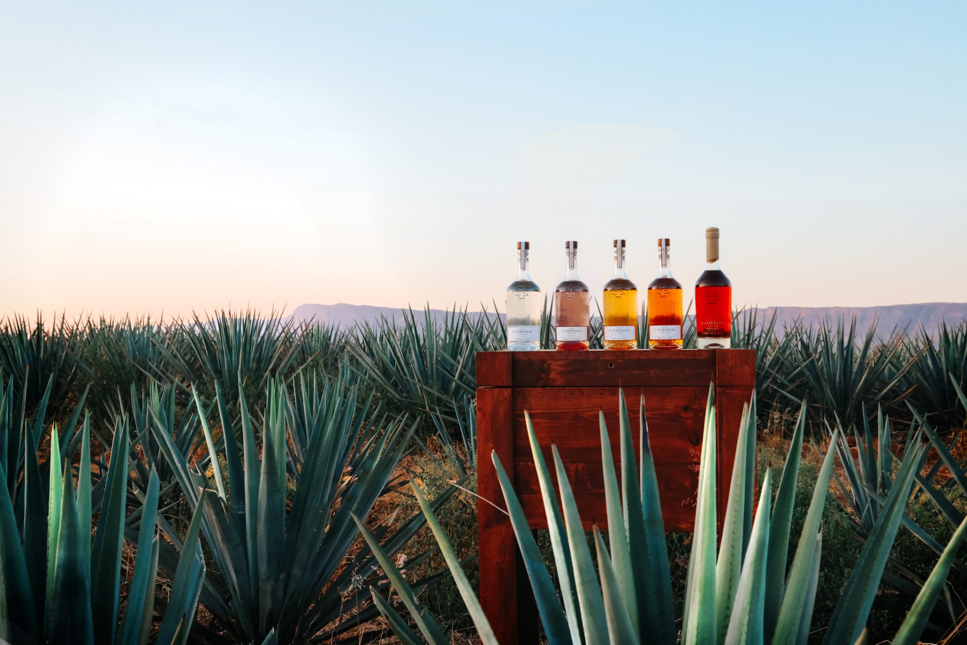 Rosa: un nuevo color de tequila | Saborearte