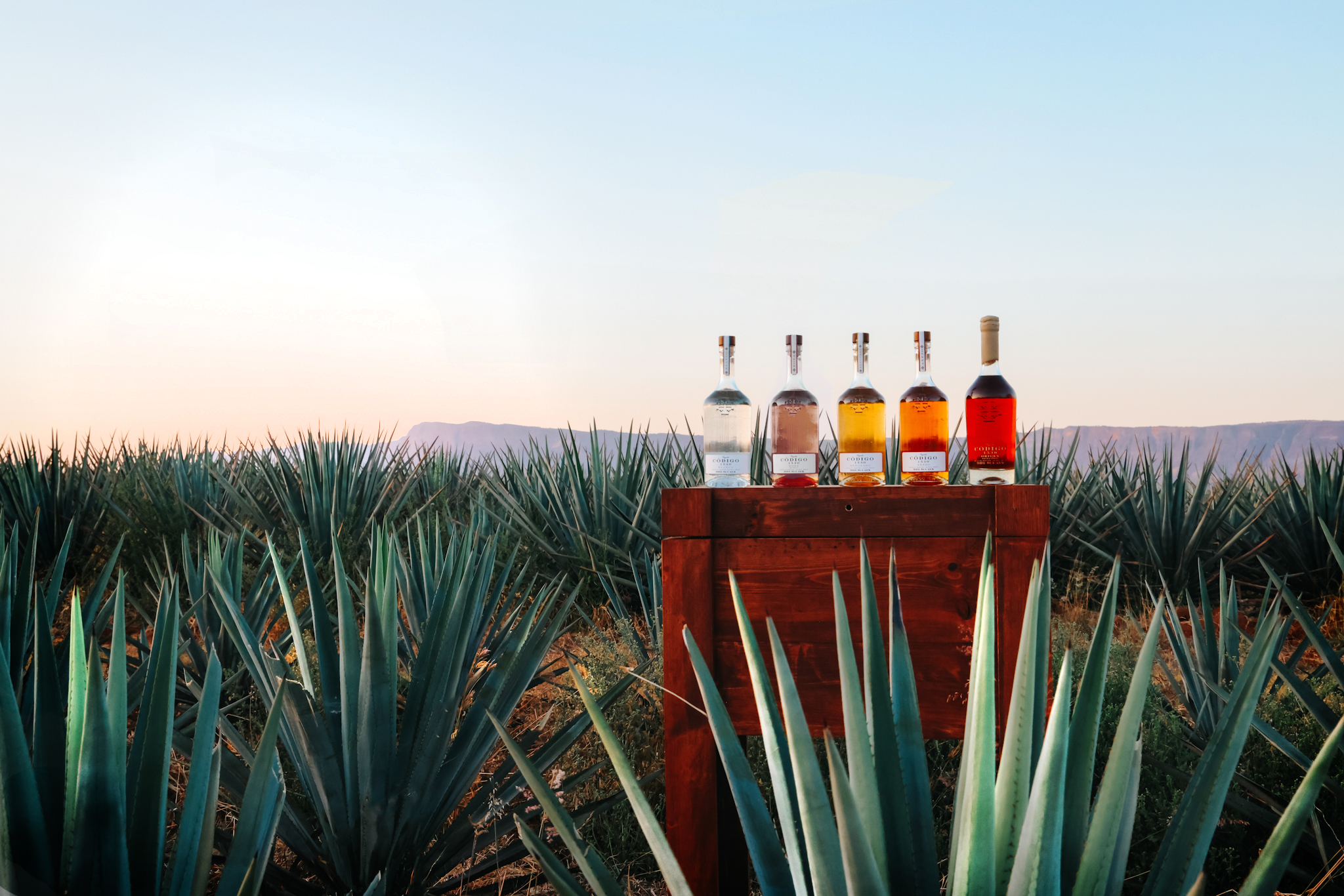 Rosa: un nuevo color de tequila | Saborearte