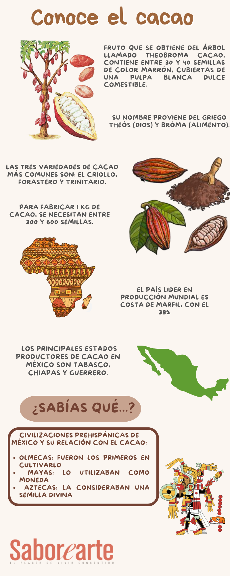 Conoce el cacao | Saborearte