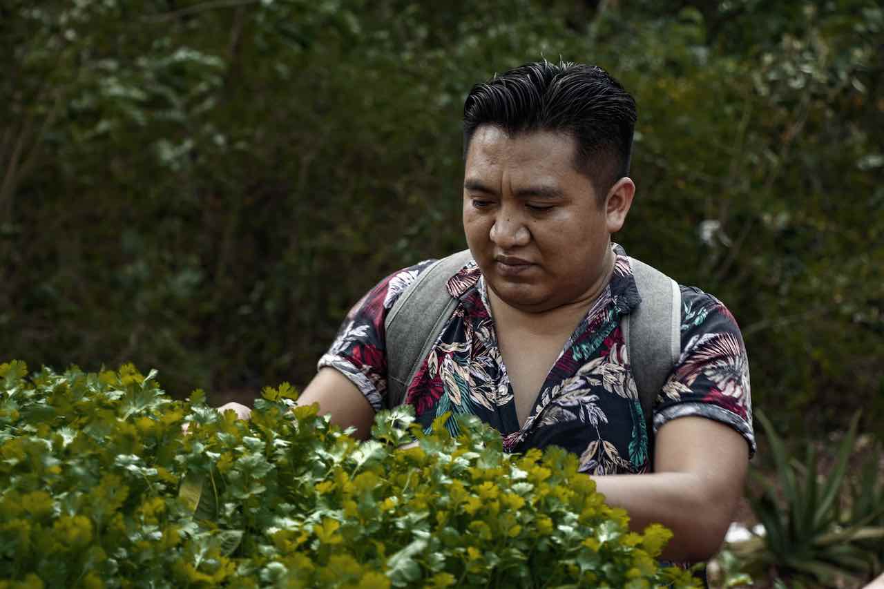 Oriundo, orgullo yucateco | Saborearte