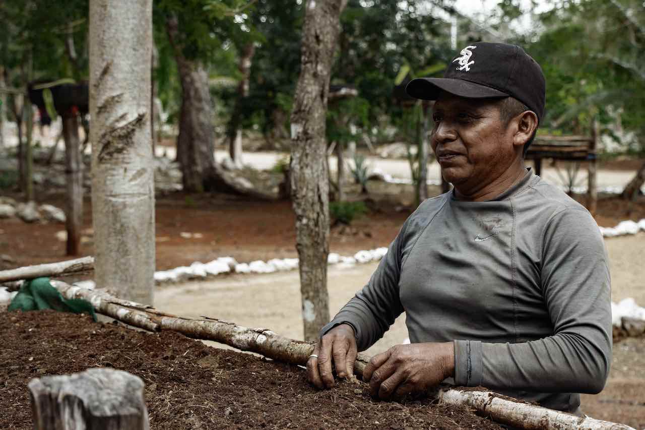 Oriundo, orgullo yucateco | Saborearte