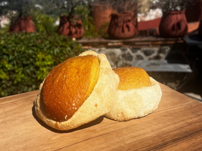 10 Panes de dulce que todo mexicano debe conocer | Saborearte