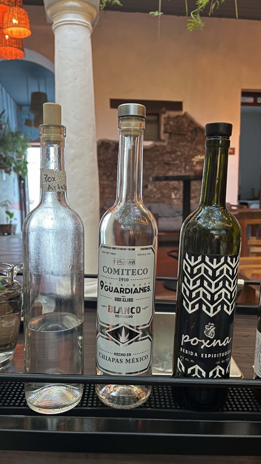 Pox, espíritu de los Altos de Chiapas para el mundo | Saborearte