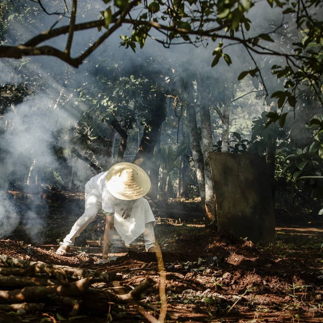 Secretos de Yucatán: taller gastronómico de Ya’axché con el chef Wilson ...