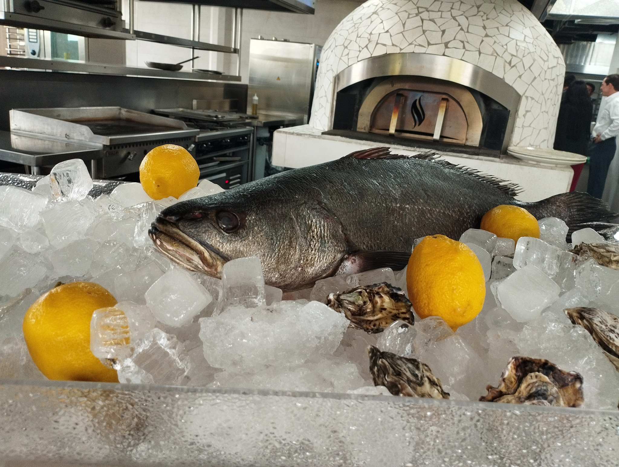 Totoaba de criadero, el secreto del Mar de Cortés | Saborearte