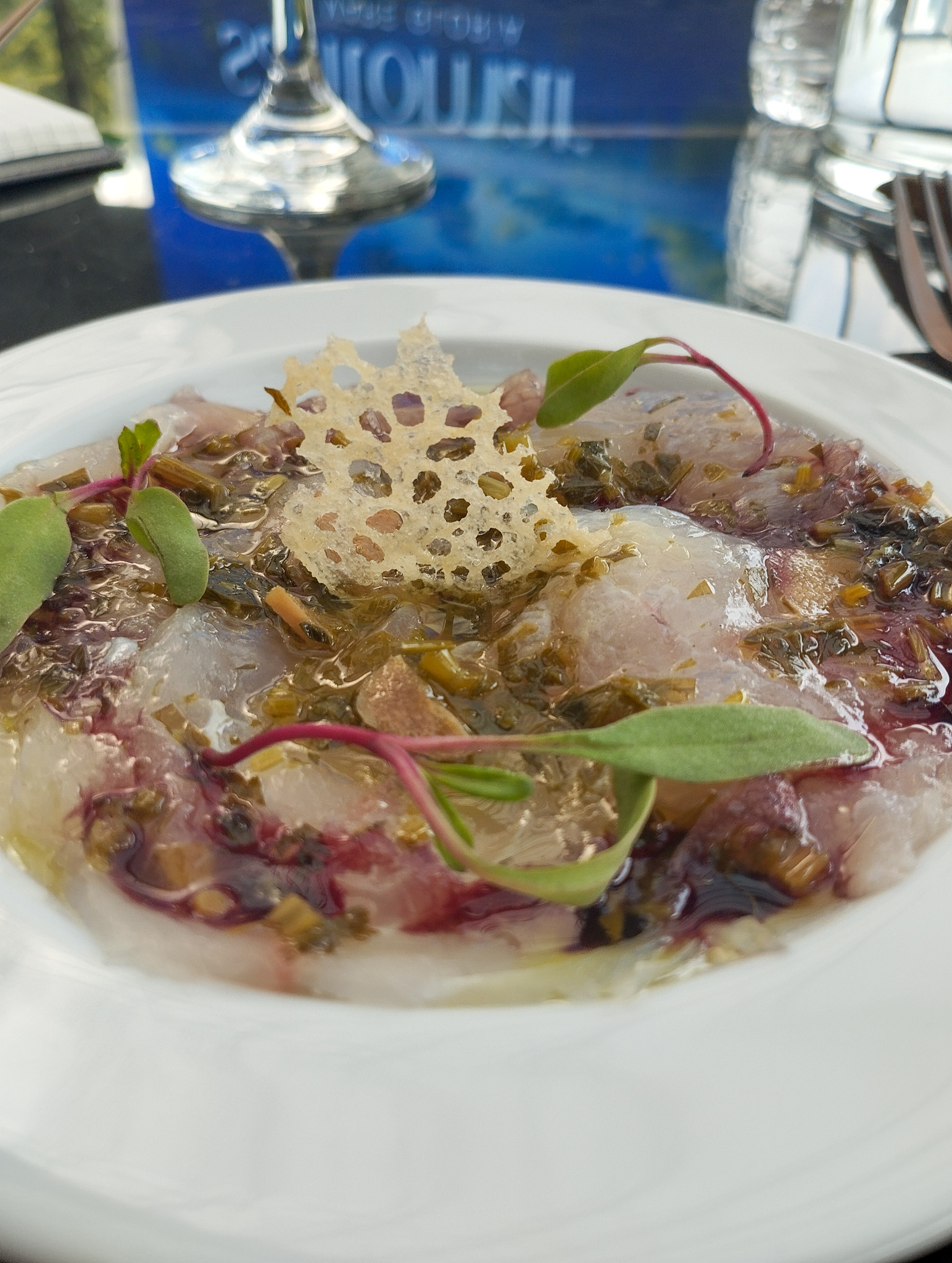 Totoaba de criadero, el secreto del Mar de Cortés | Saborearte