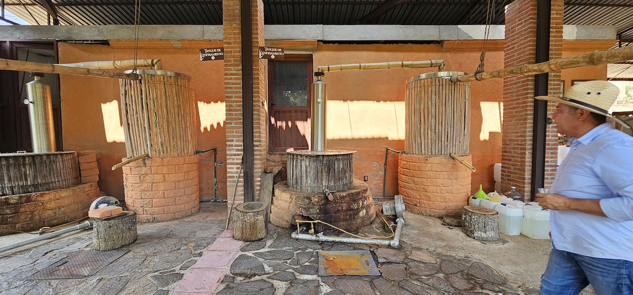 Ruta de la raicilla ancestral en Costa Alegre | Saborearte