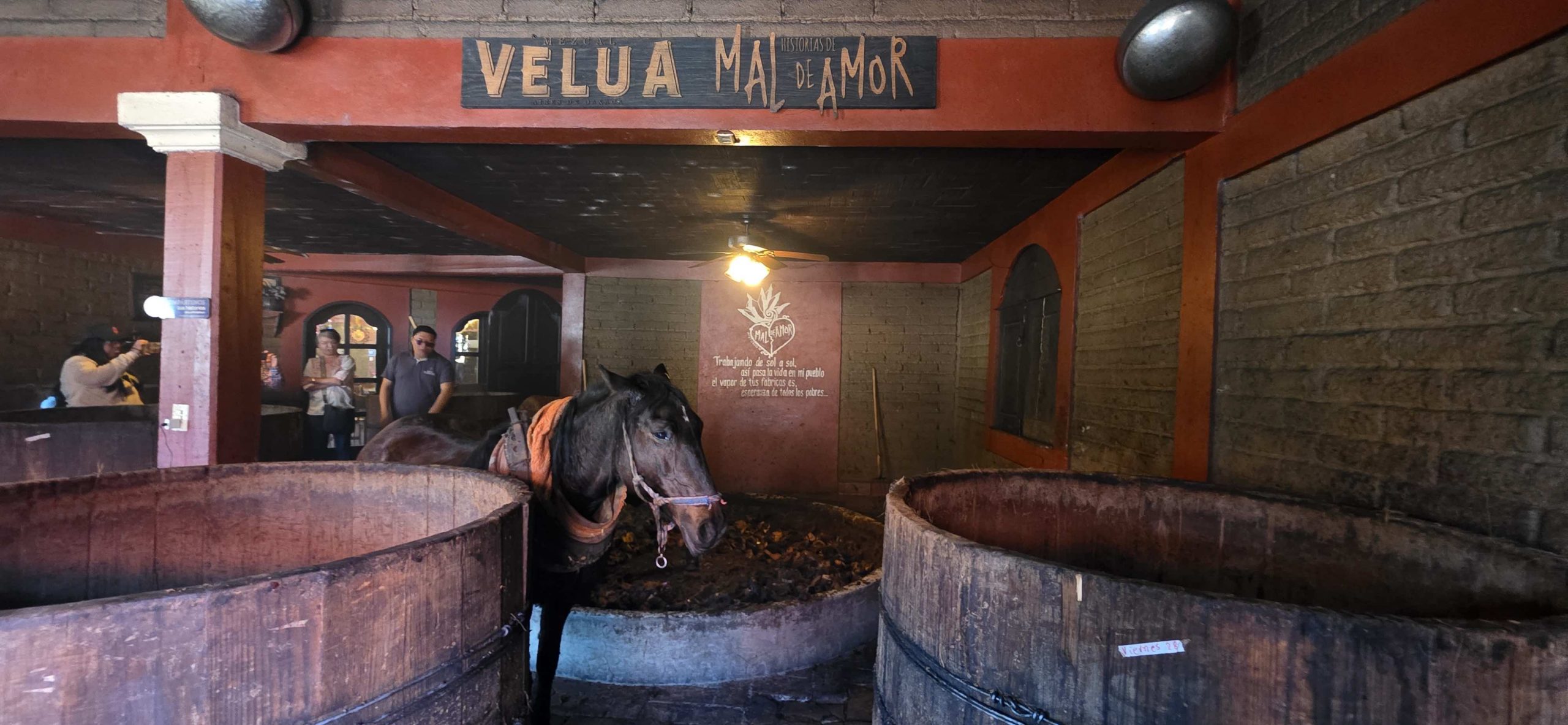 Palenque Mal de Amor, mezcal artesanal desde Oaxaca | Saborearte